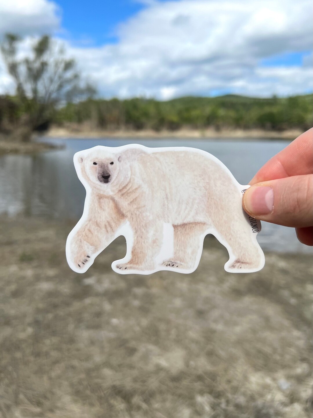 Watercolor Polar Bear Sticker, Polar Bear Lover Gift, Save the Polar ...