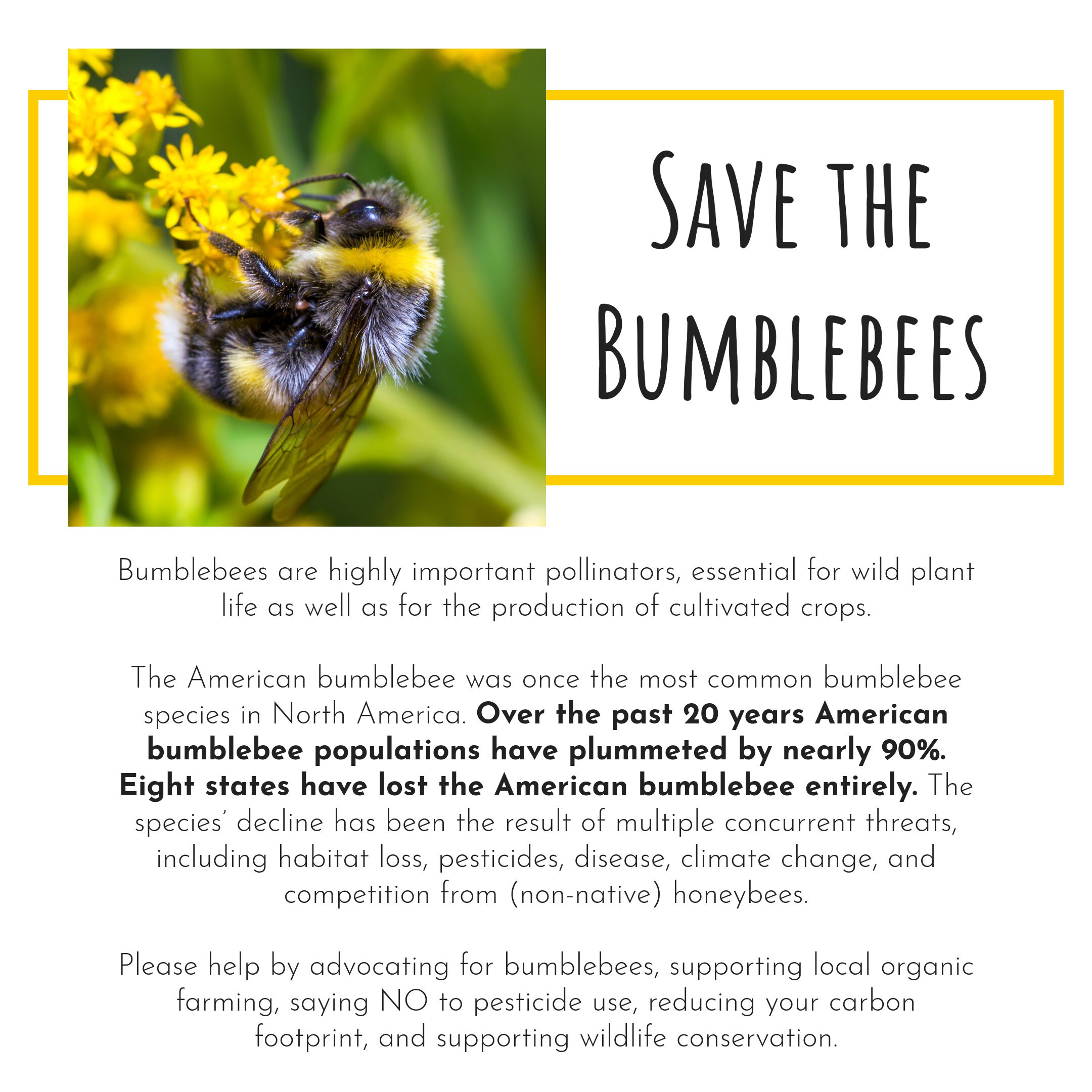 Bumblebee Pun Card, Bumblebee Birthday Card, Bee Greeting Card ...