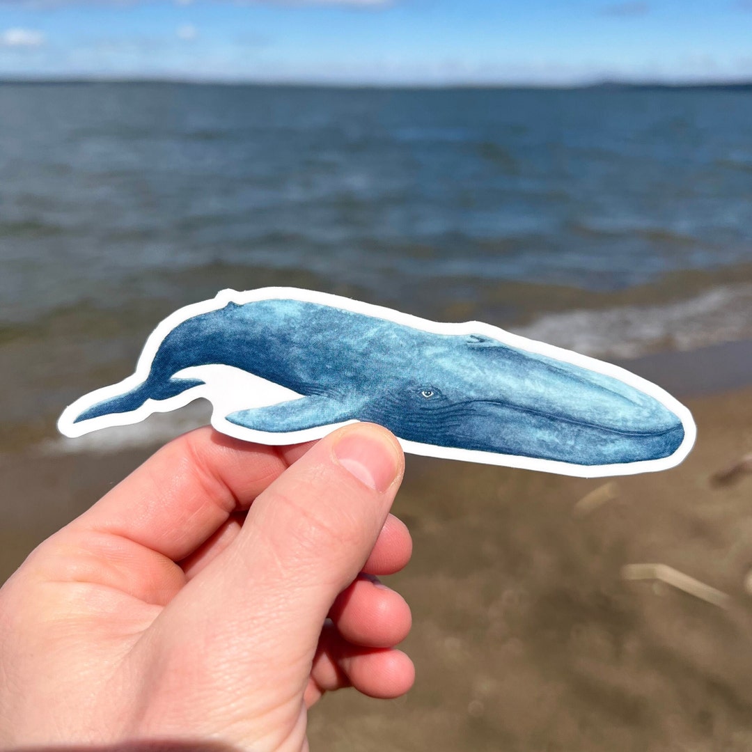 Watercolor Blue Whale Sticker, Blue Whale Lover Gift, Save the Blue ...