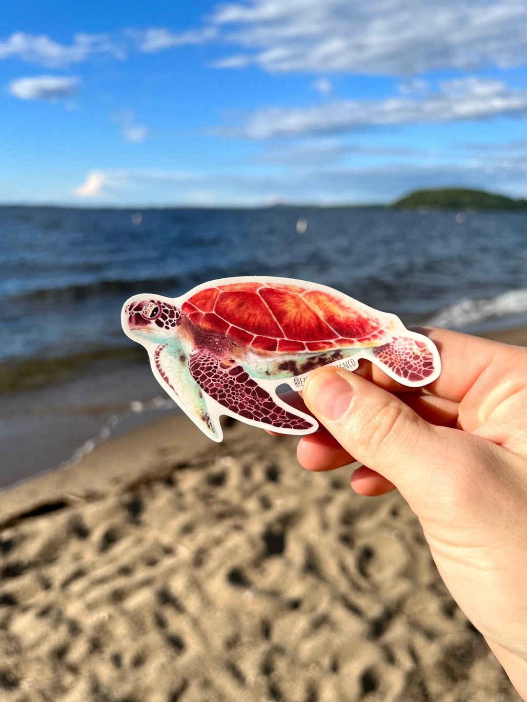 Watercolor Sea Turtle Sticker, Sea Turtle Lover Gift, Save the Sea ...