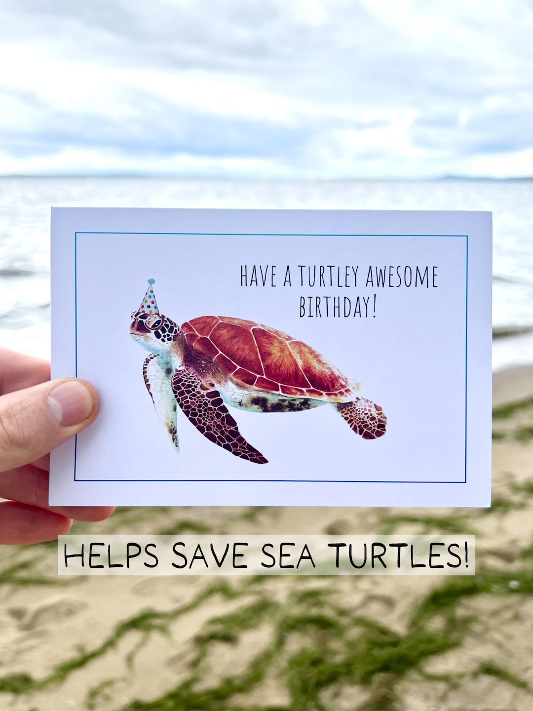 Sea Turtle Birthday Card for Ocean Lovers, Marine Life Birthday ...