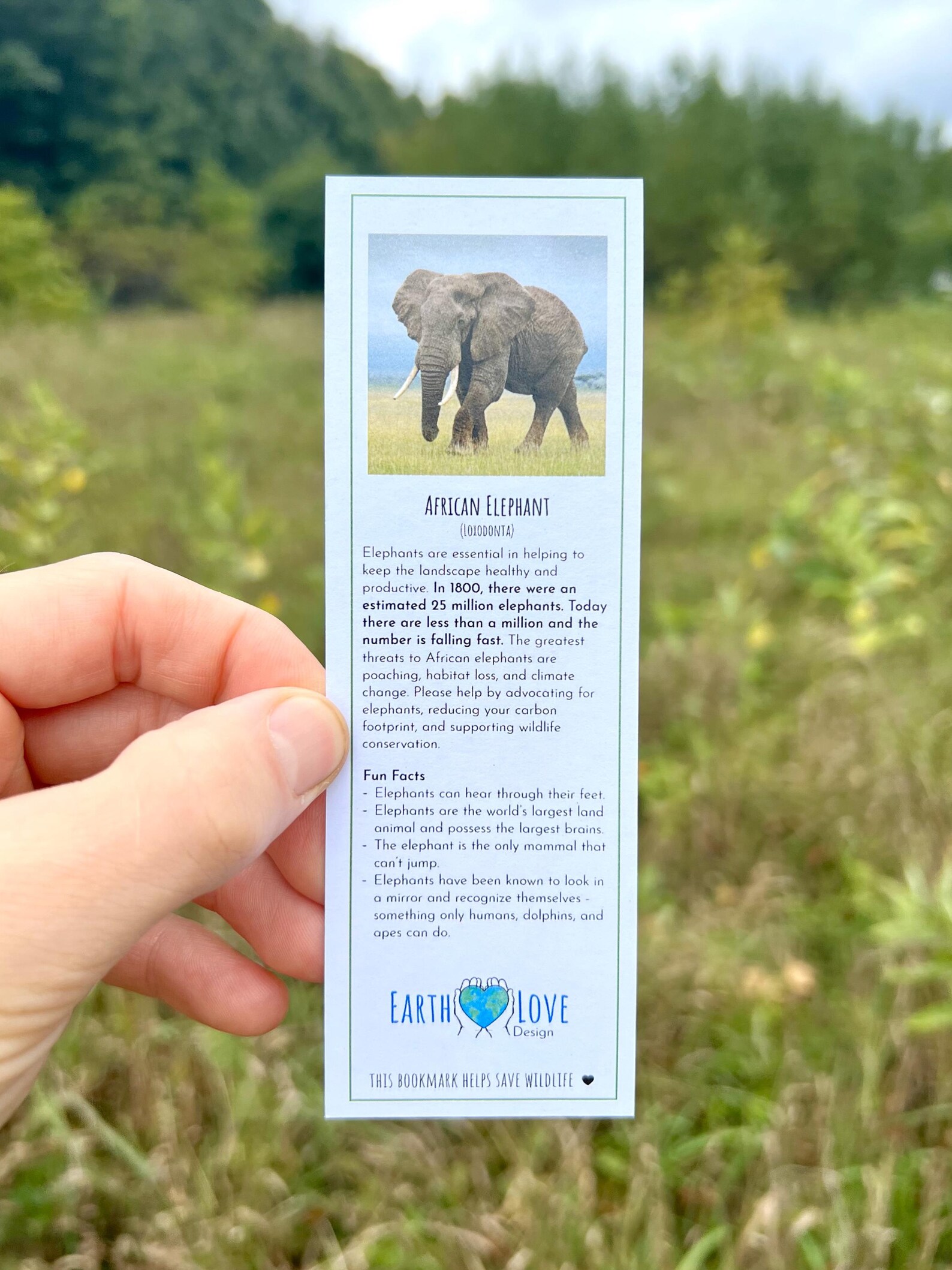 Watercolor African Elephant Bookmark, Endangered Species Bookmark ...