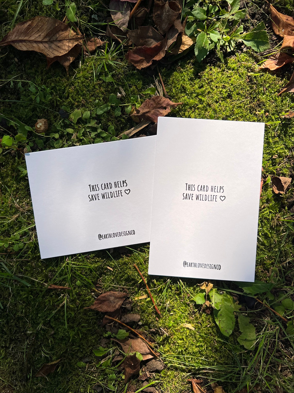 Whale Shark Pun Card, Whale Shark Greeting Card, Watercolor Whale Shark ...