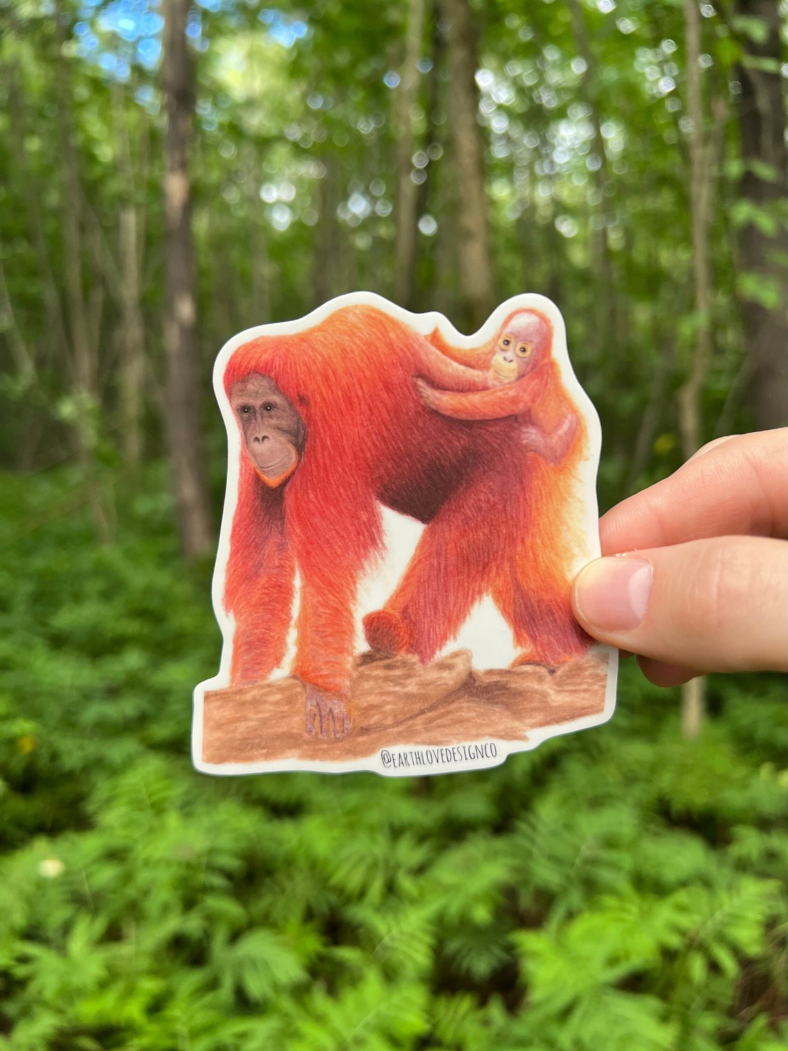 Watercolor Orangutan Sticker, Orangutan Lover Gift, Save the Orangutans ...