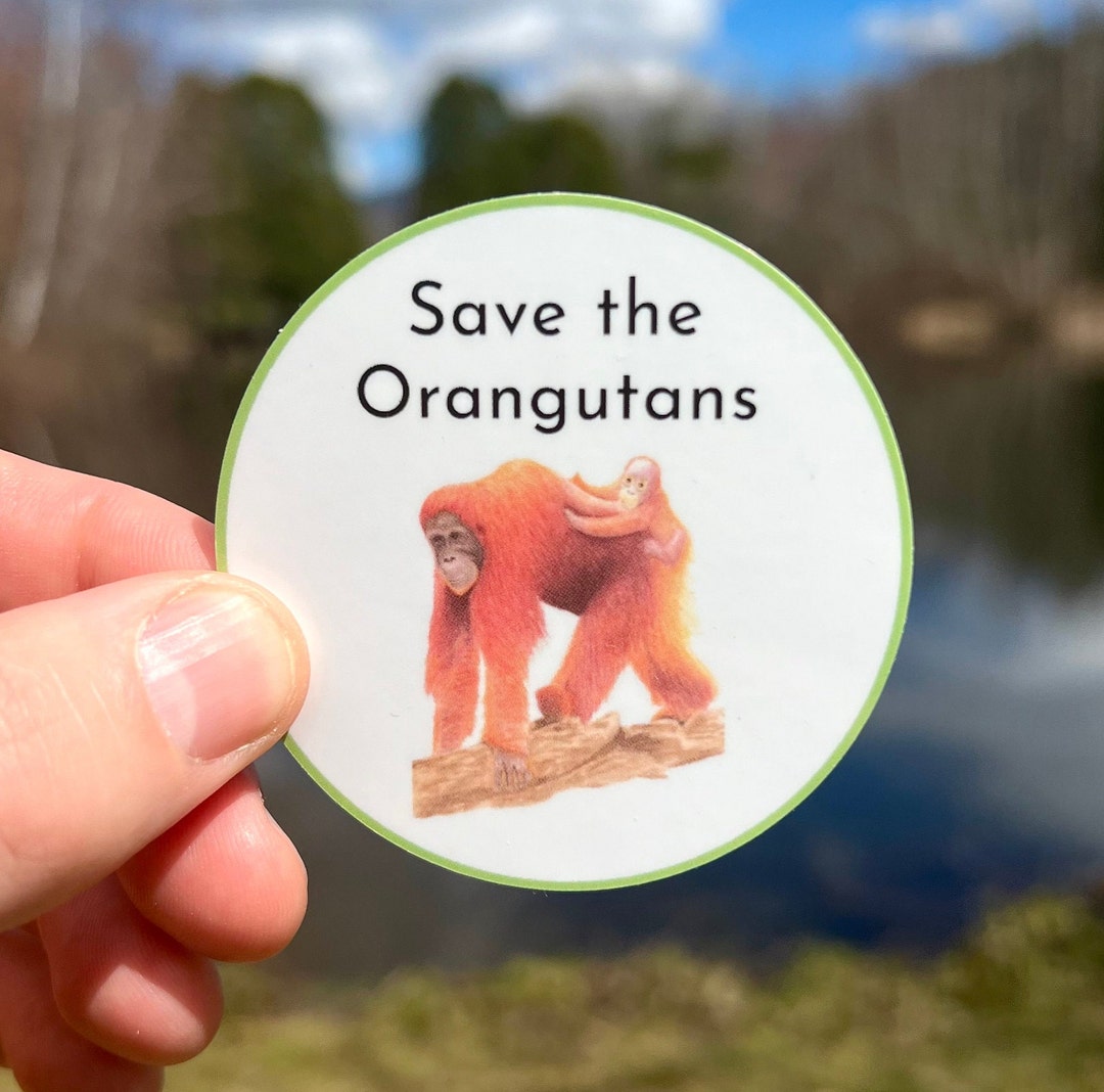 Watercolor Orangutan Sticker, Orangutan Lover Gift, Save the Orangutans ...
