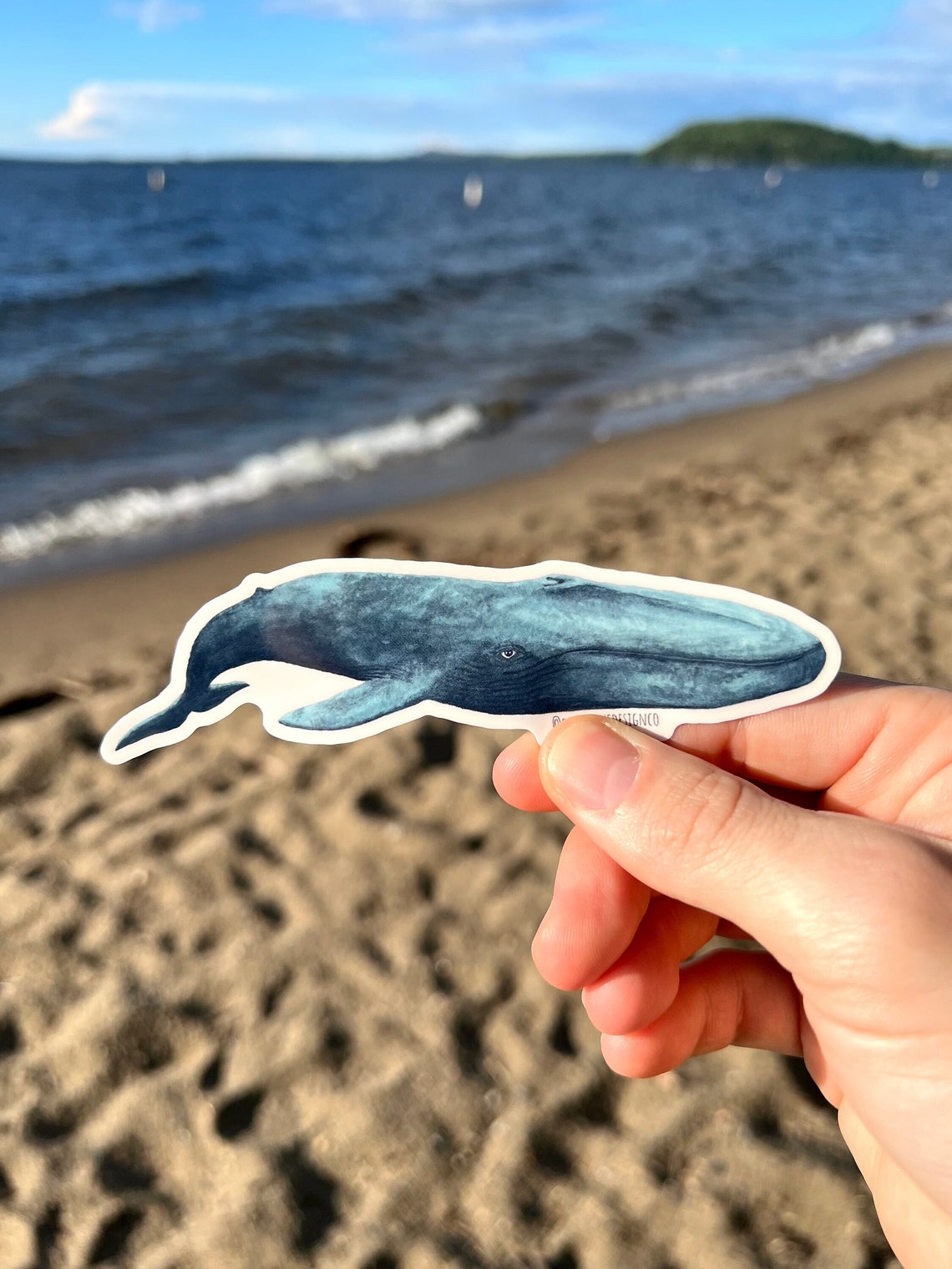 Watercolor Blue Whale Sticker, Blue Whale Lover Gift, Save the Blue ...