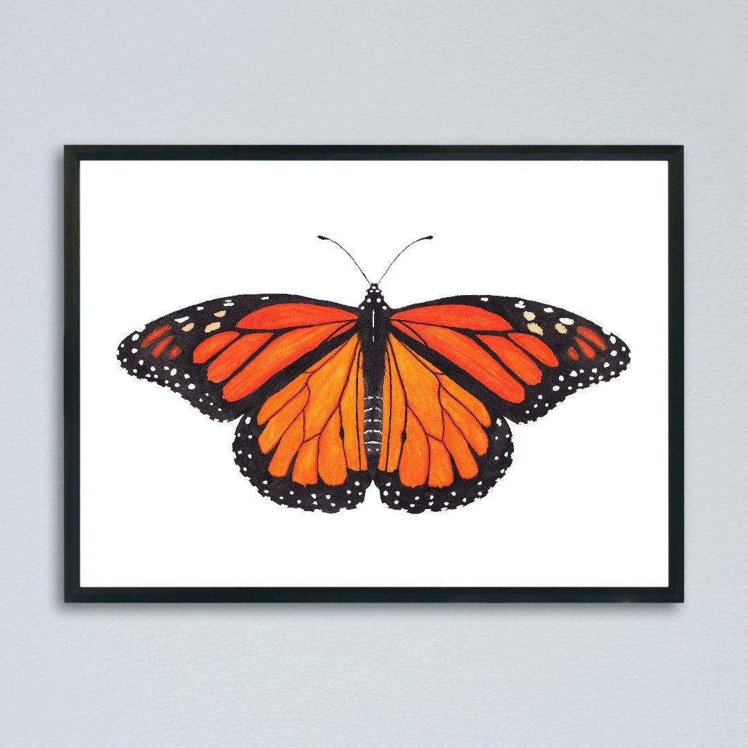 Monarch Butterfly Digital Print Monarch Butterfly Wall Art - Etsy