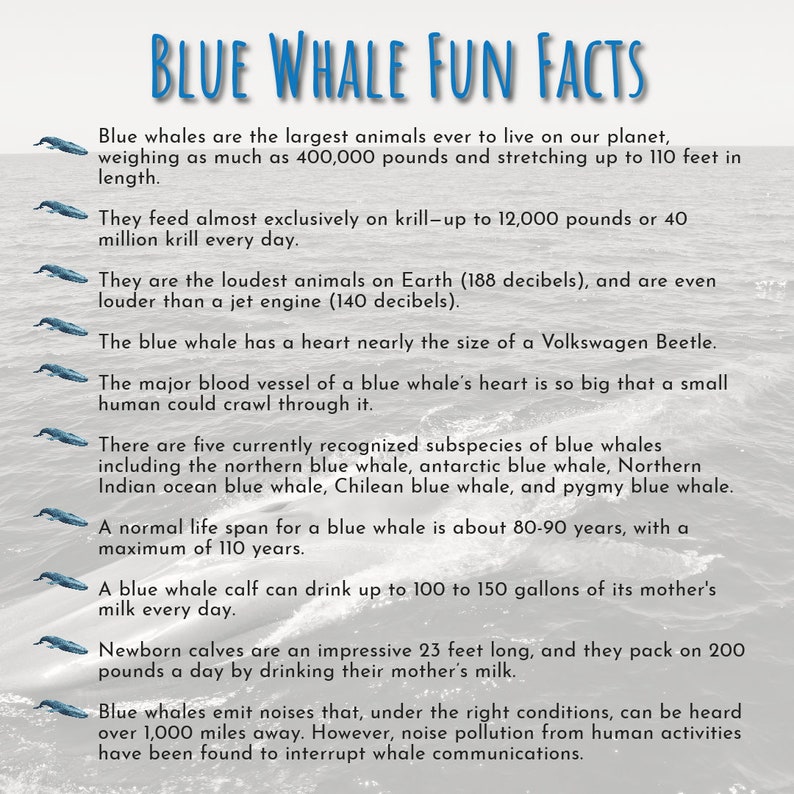 Blue Whale Pun Card Blue Whale Greeting Card Watercolor Blue - Etsy