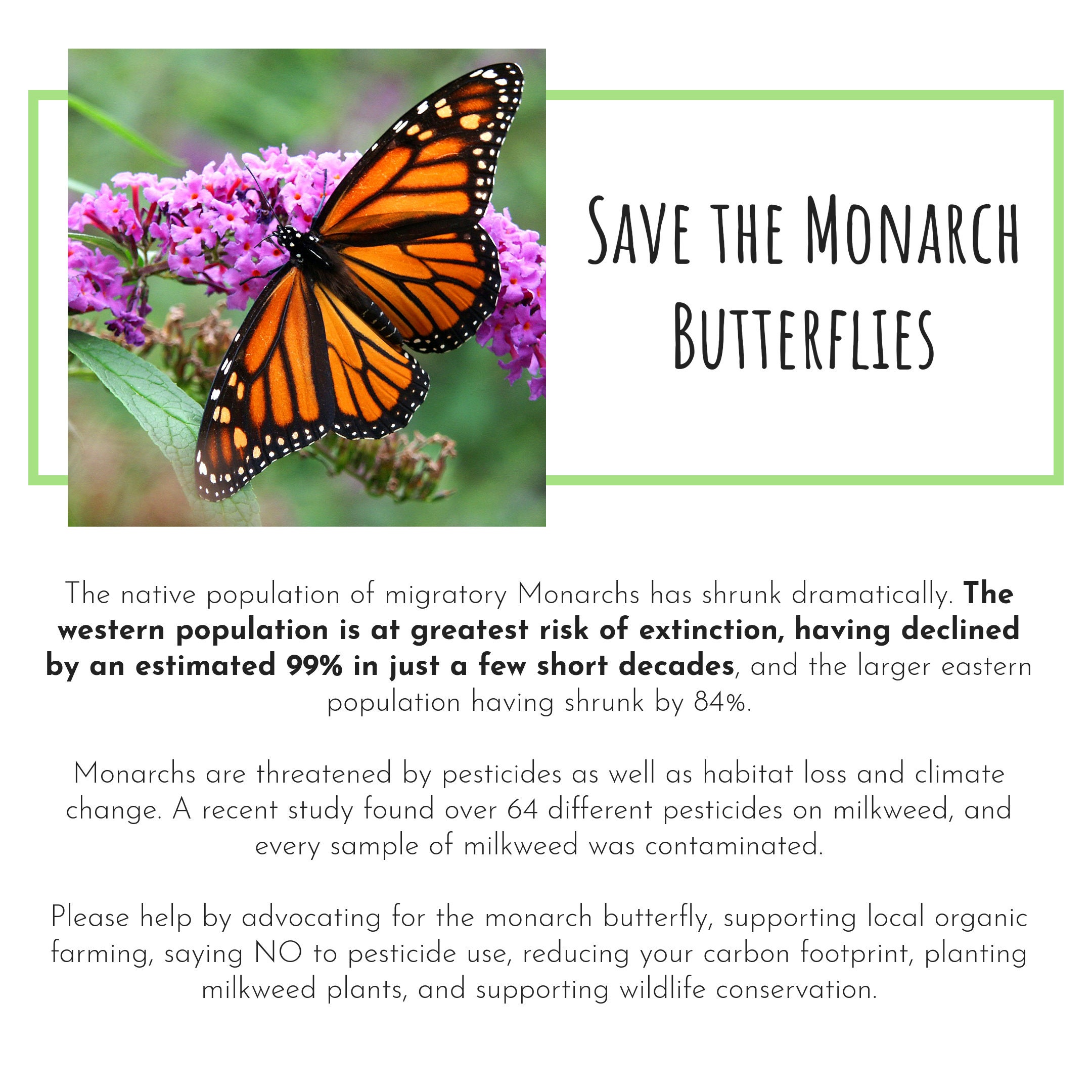 Monarch Butterfly Digital Print, Monarch Butterfly Wall Art, Save the ...
