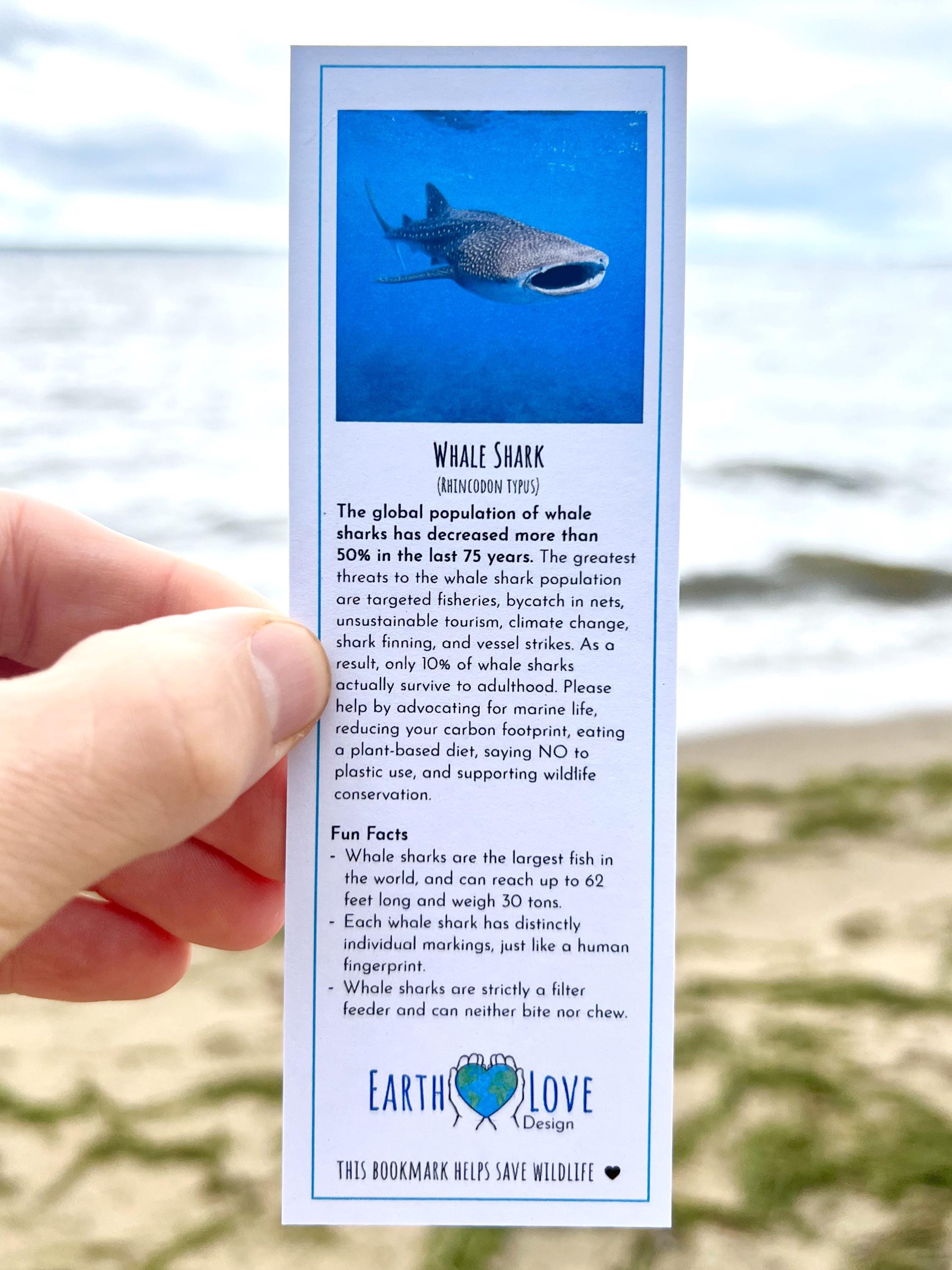 Watercolor Whale Shark Bookmark, Endangered Species Bookmark, Whale ...