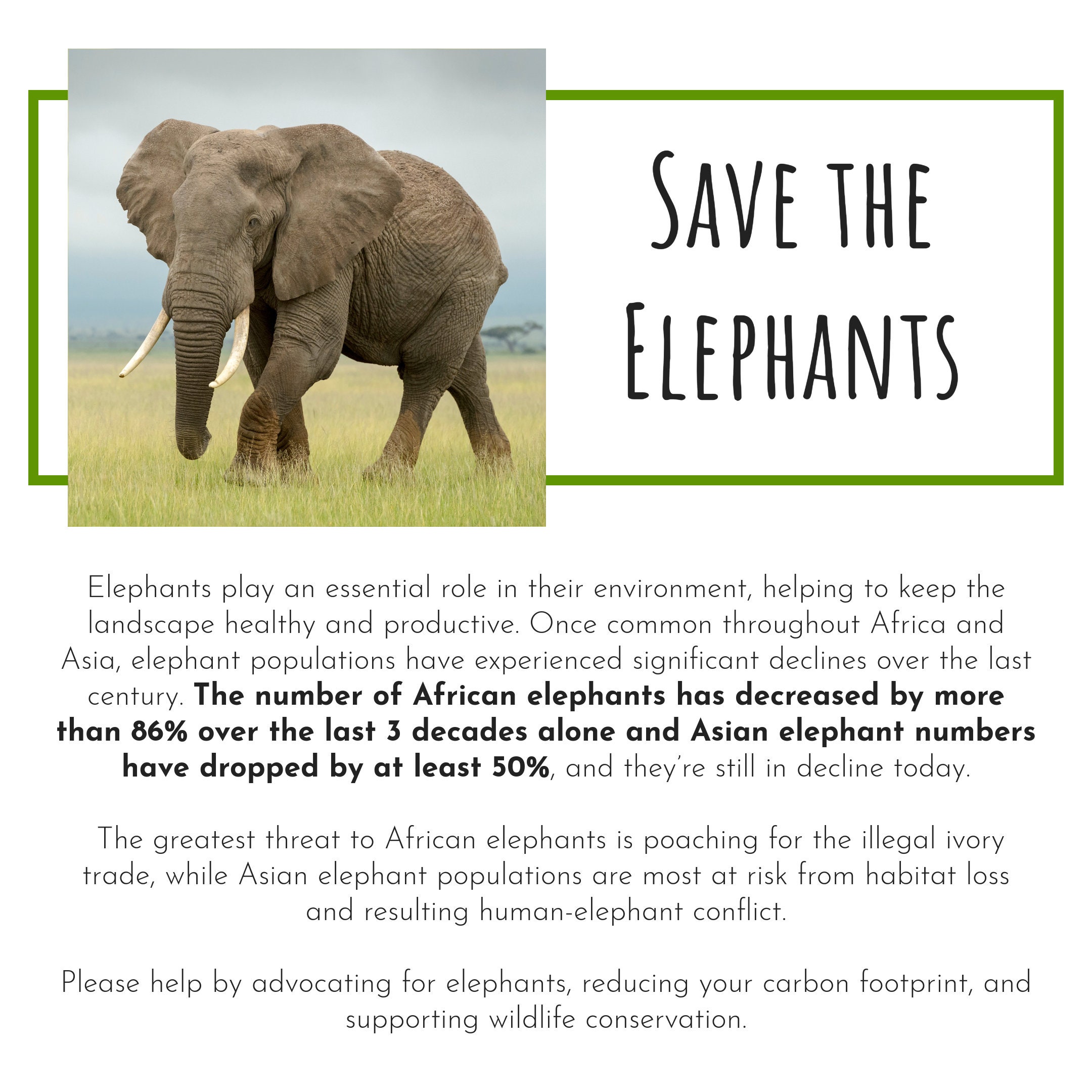 Elephant Pun Card, Elephant Birthday Card, Watercolor Elephant Card ...