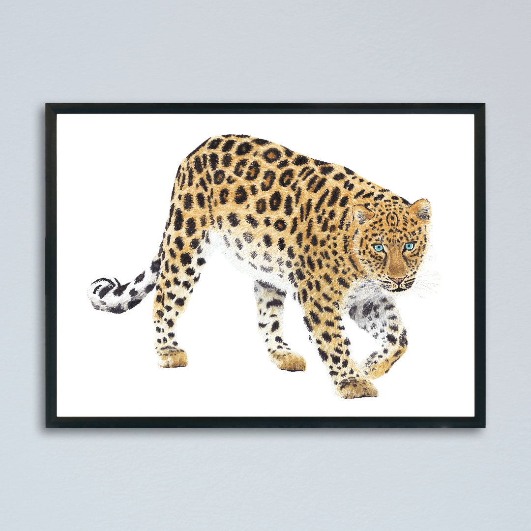 Amur Leopard Digital Download Watercolor Amur Leopard Art - Etsy