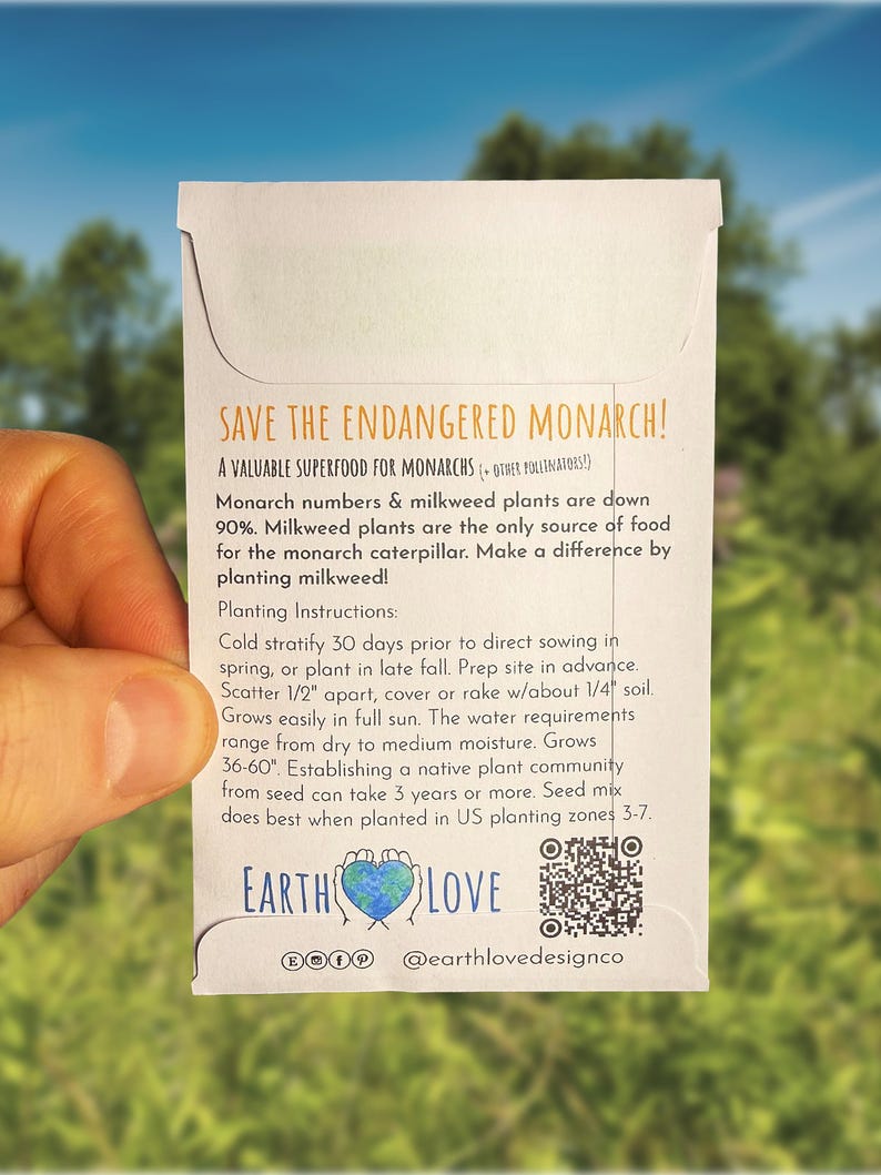 Common Milkweed Seed Packet, Asclepias Syriaca, Monarch Butterfly ...