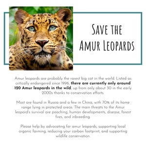 Watercolor Amur Leopard Sticker, Amur Leopard Lover Gift, Save the Amur ...