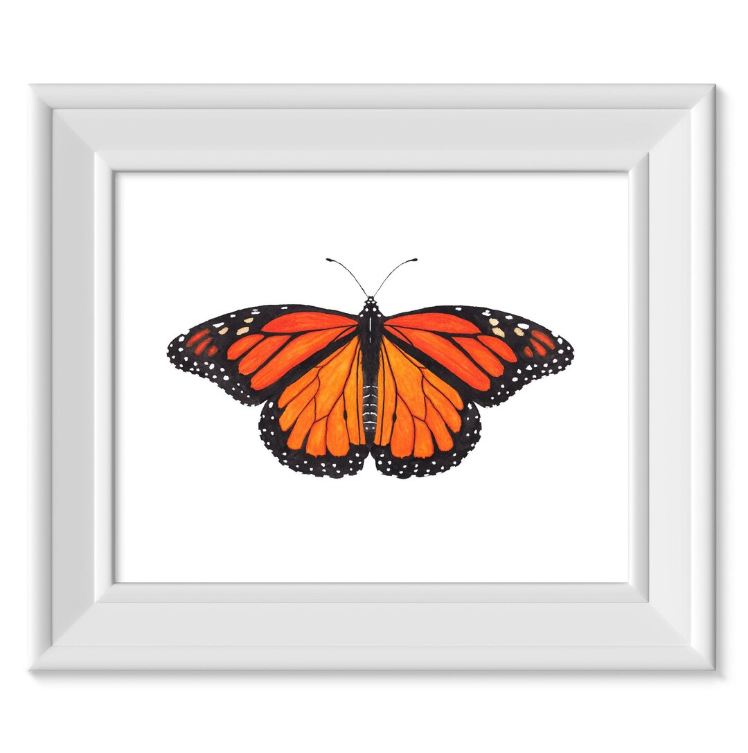 Monarch Butterfly Art Print, Watercolor Butterfly Wall Art, Wildlife ...