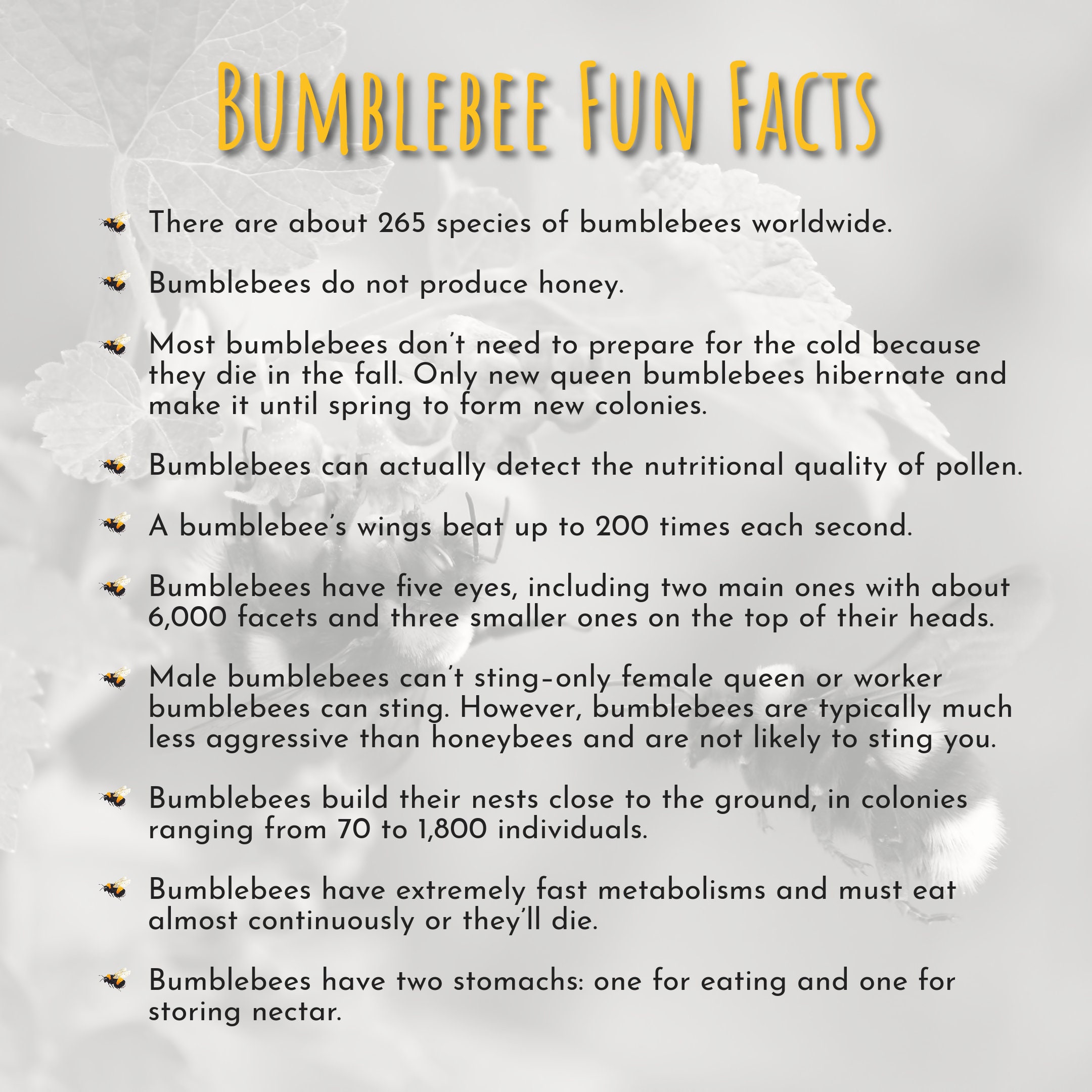 Bumblebee Pun Card Watercolor Bumblebee Card Recycled - Etsy