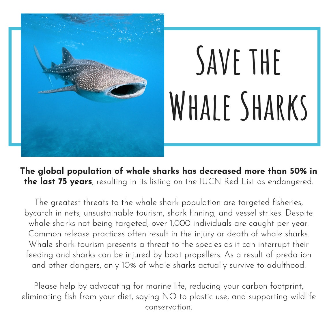 Whale Shark Pun Card, Whale Shark Greeting Card, Watercolor Whale Shark ...