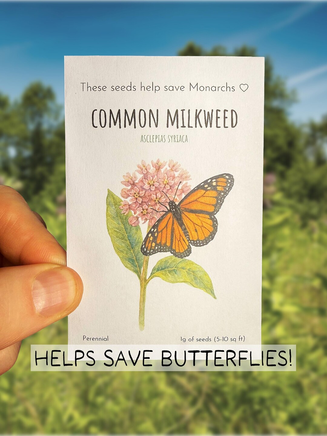 Common Milkweed Seed Packet, Asclepias Syriaca, Monarch Butterfly ...