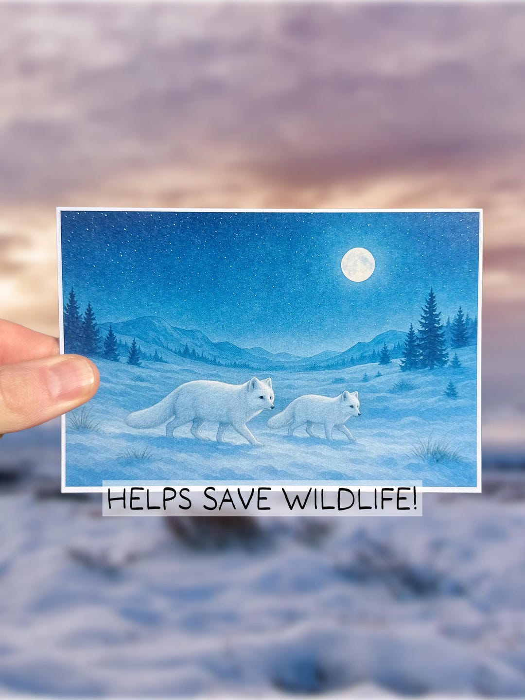 Arctic Fox Christmas Card, Winter Wildlife Greeting Card, Moonlit ...
