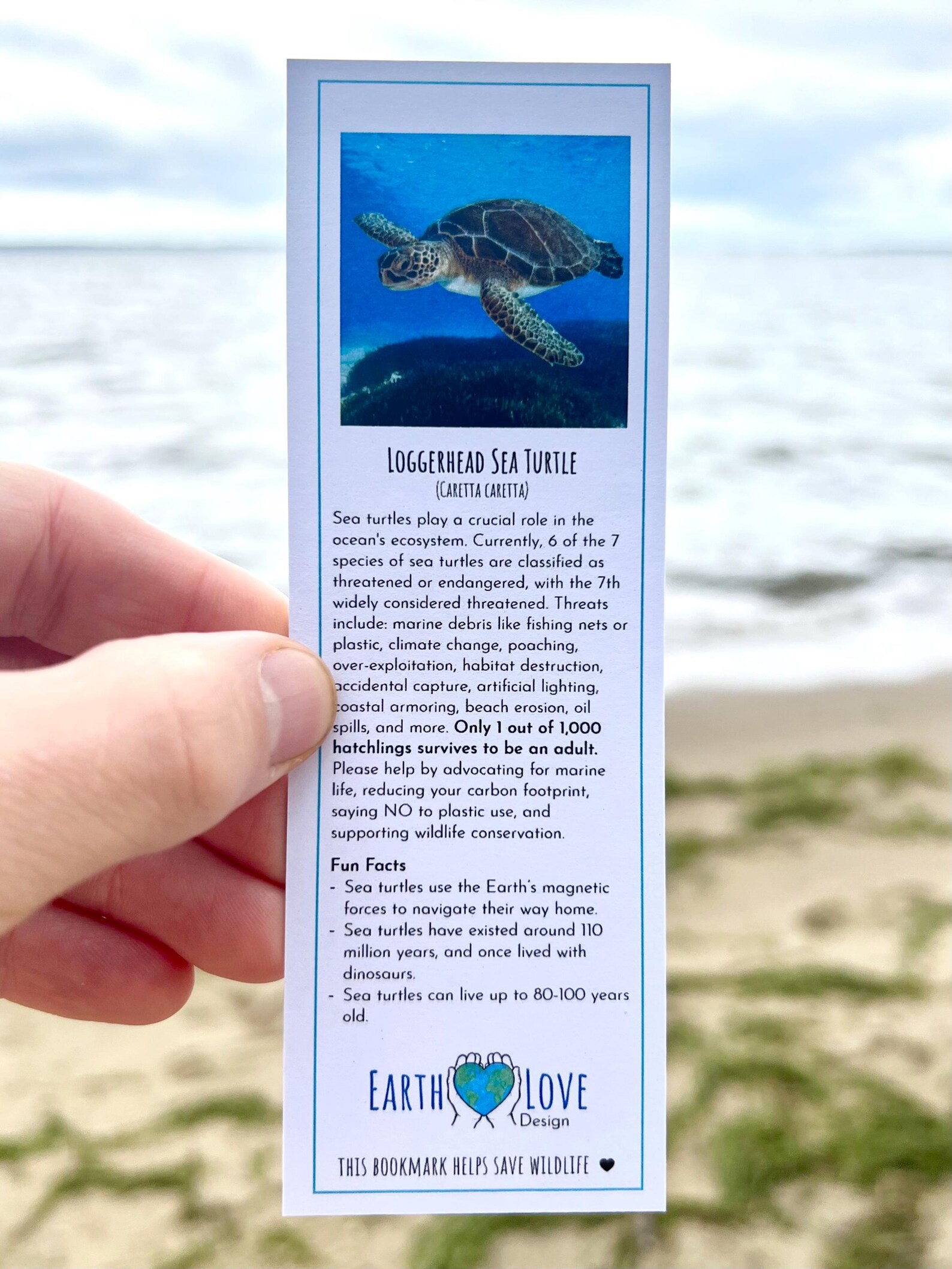 Watercolor Loggerhead Sea Turtle Bookmark, Endangered Species Bookmark ...