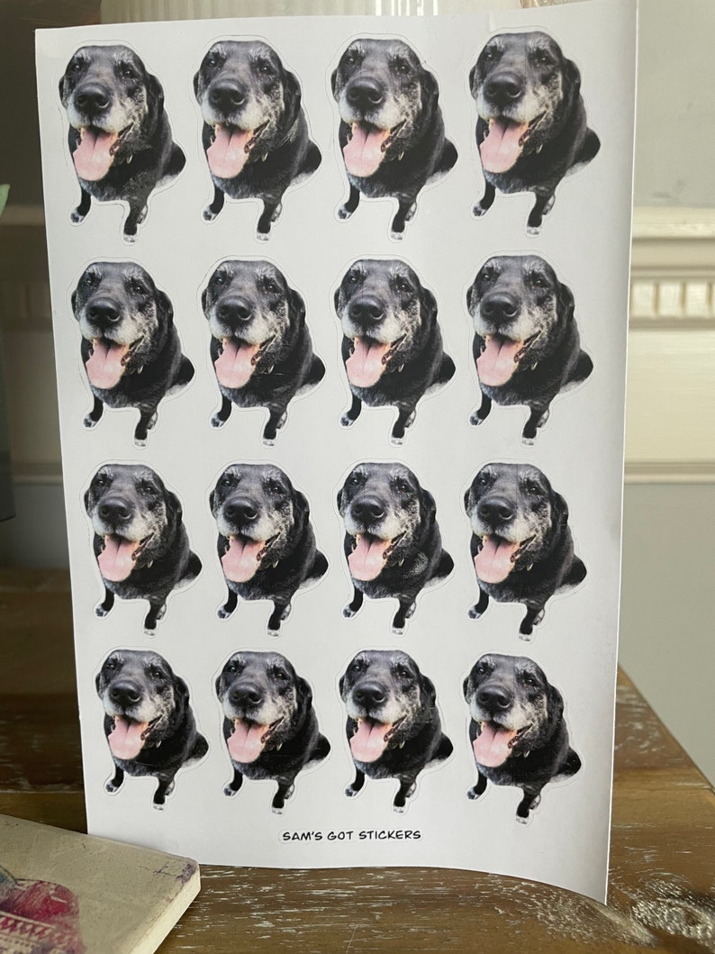 Personalized Pet Sticker Sheet, Custom Waterproof Stickers - Etsy