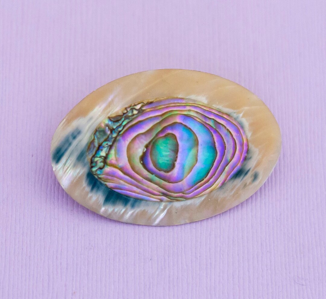 Vintage Abalone Abstract Eye Oval Brooch - AB10 - Etsy