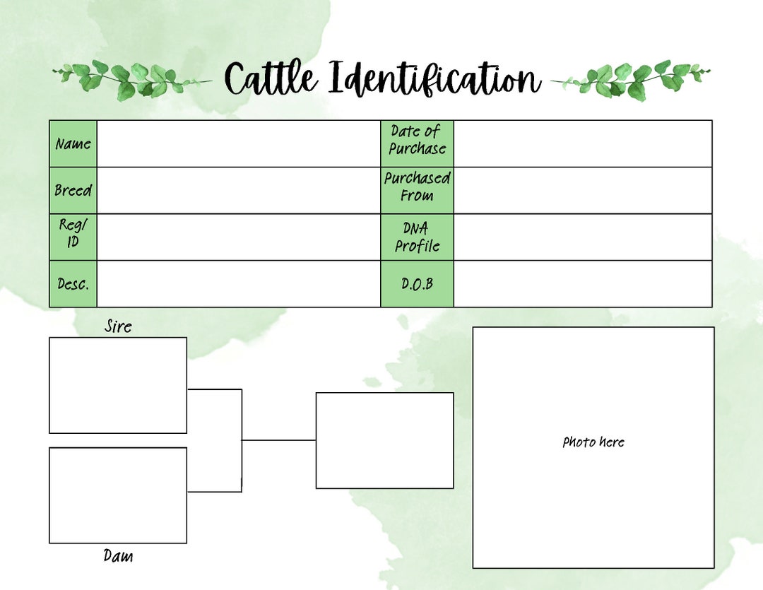 Cattle Livestock Record Keeping - PDF Printable 11 X 8.5 - Etsy