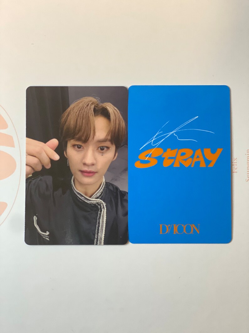 OFFICIAL Stray Kids dicon Dfesta Mini Photocards-leeknow - Etsy