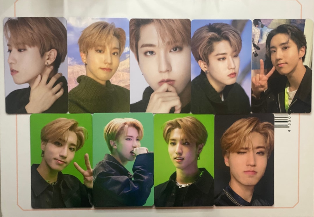 OFFICIAL Stray Kids ‘dicon D’festa Mini’ Photocards-han - Etsy