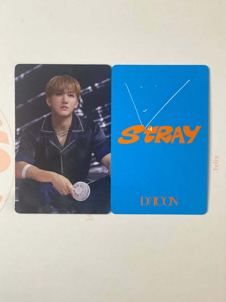 OFFICIAL Stray Kids dicon Dfesta Mini Photocards-changbin - Etsy