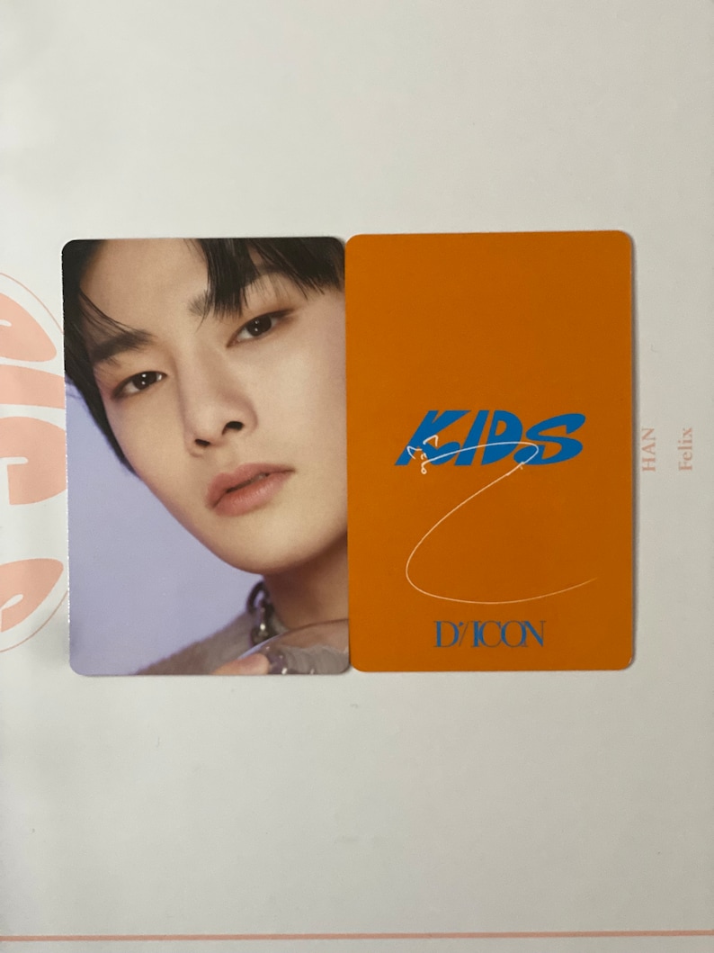 OFFICIAL Stray Kids dicon Dfesta Mini Photocards-i.n - Etsy