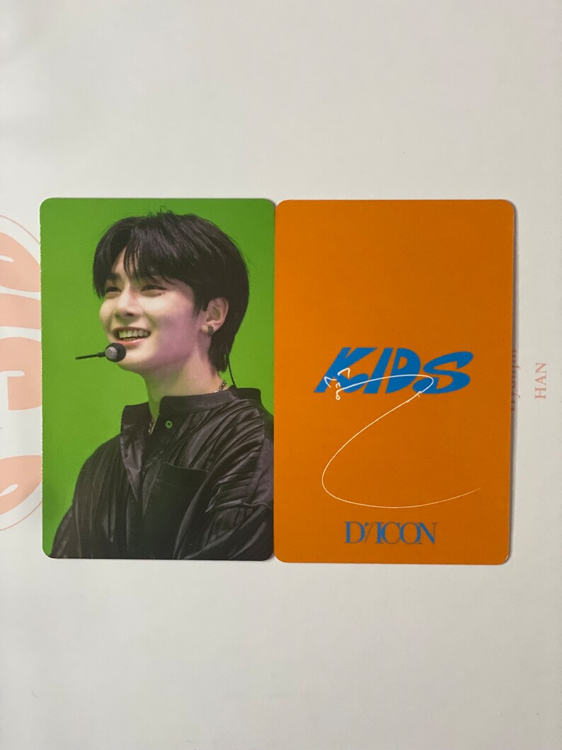 OFFICIAL Stray Kids dicon Dfesta Mini Photocards-i.n - Etsy