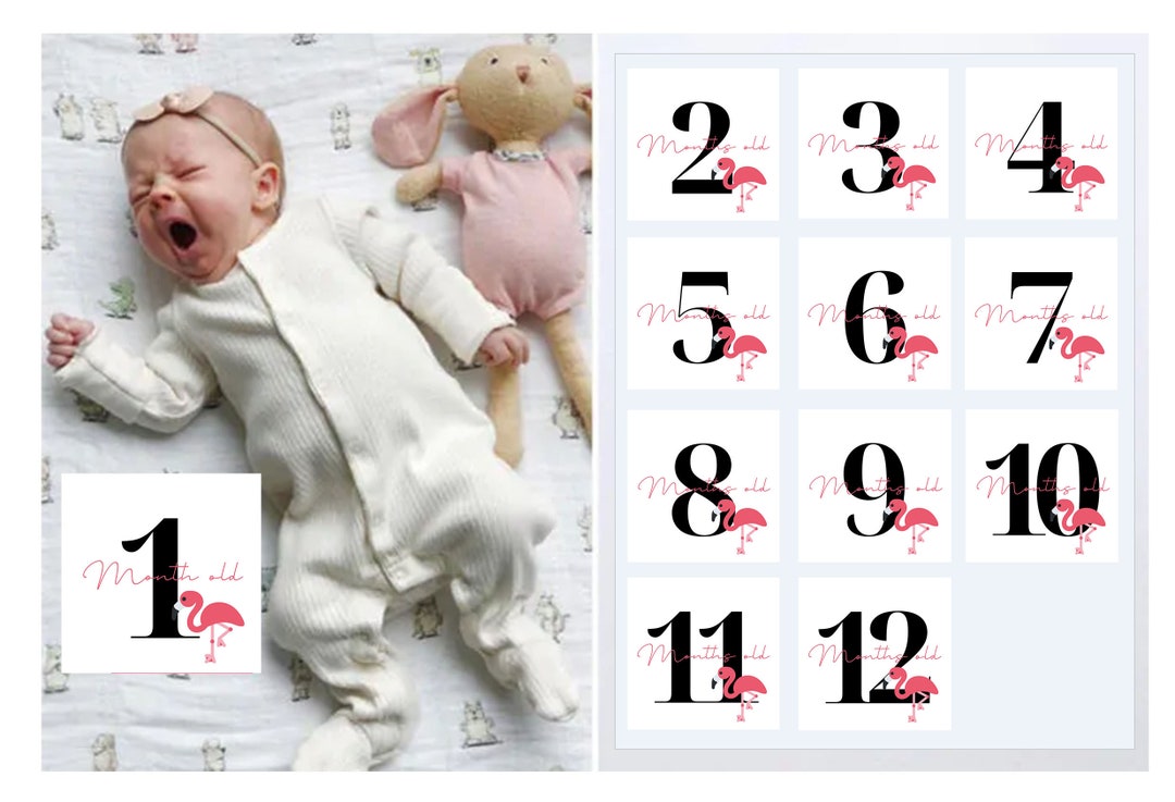 Baby Milestone Cards Printable Girls Flamingo Photo Props - Etsy