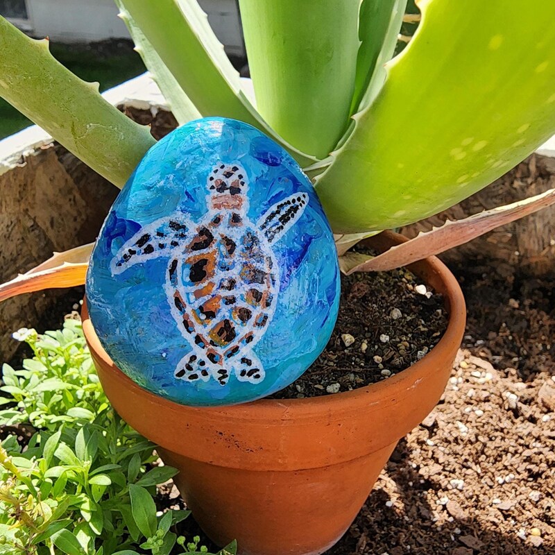 Painted Turtle Rock - Etsy