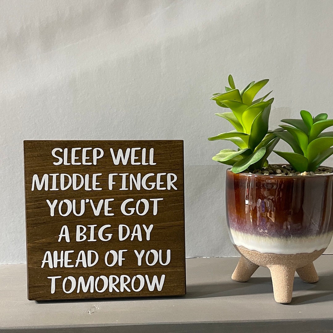 Sleep Well Middle Finger You’ve Got a Big Day…funny Office Sign, Office ...