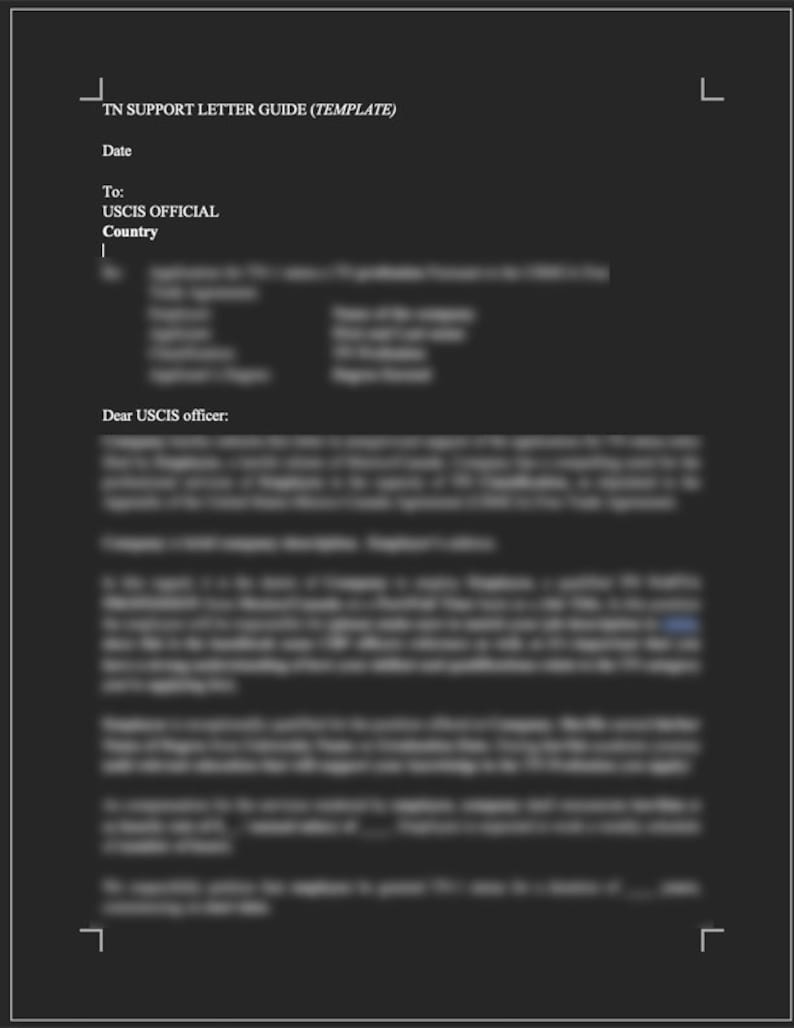 TN VISA Support Letter TEMPLATE - Etsy