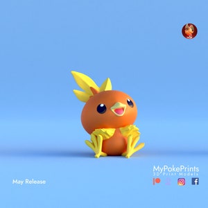 Torchic Buff and Multiple Pose Custom Sizes Colors - Etsy