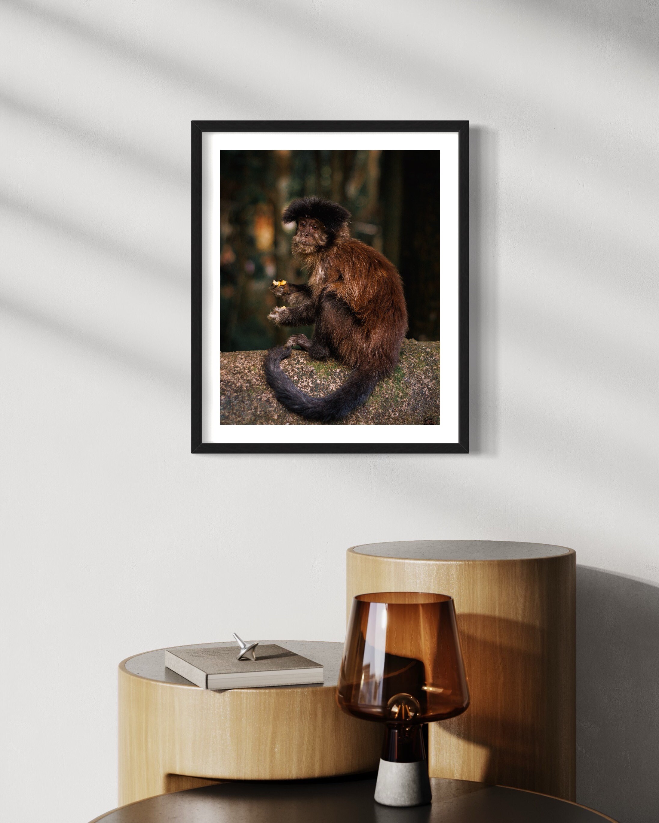 Monkey Photo Print Rainforest Animals Wall Art, Wildlife Photography ...