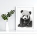 Super Cute Panda Pencil Drawing Digital Download, Digital Prints ...