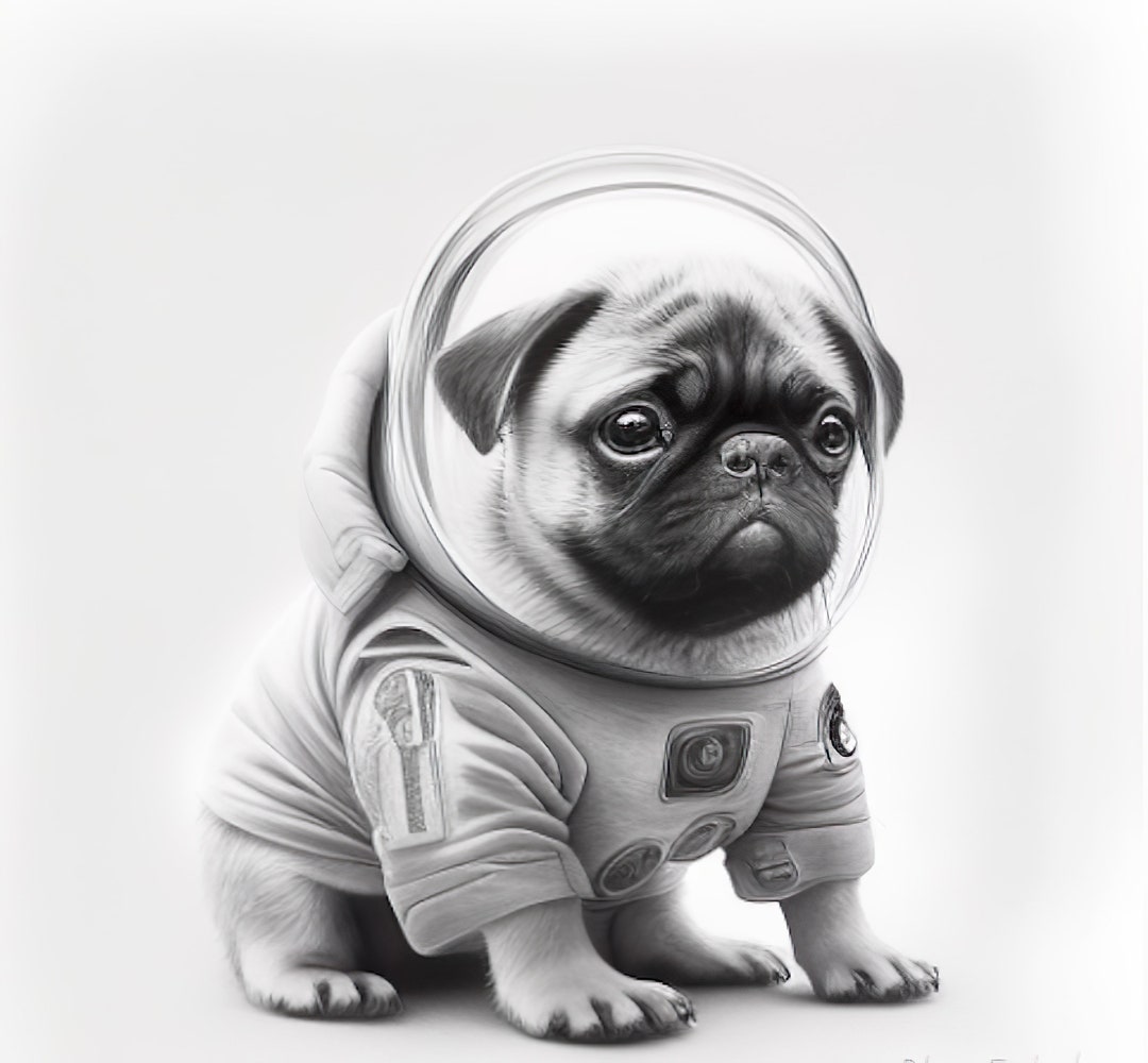 Astronaut Pug Puppy Dog Pencil Drawing Digital Download, Pug Drawings ...