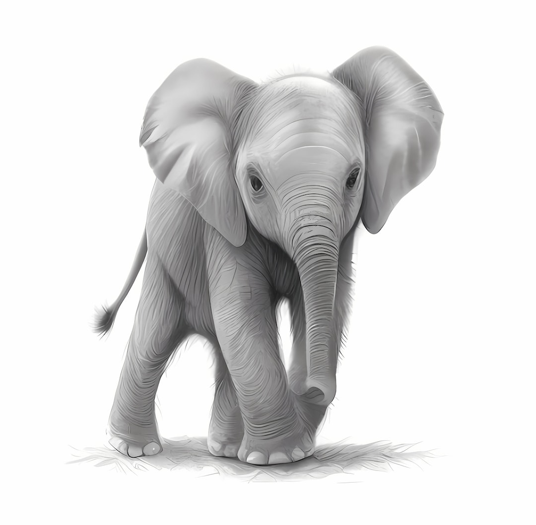 Cute Baby Elephant Pencil Drawing With White Background, Digital Print, Digital Download, Cute ...