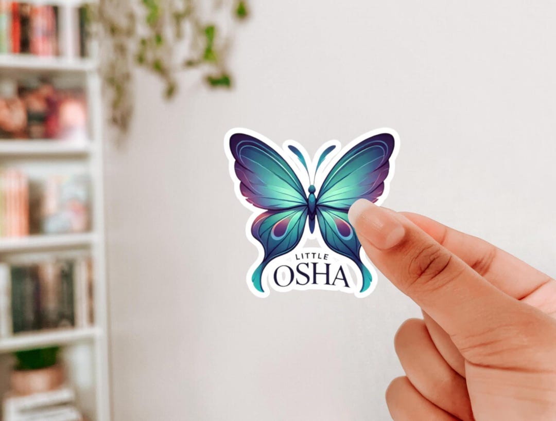 Quicksilver Sticker Little Osha Decal for Kindle Insert, Kingfisher ...