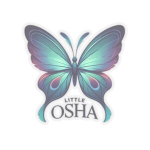 Quicksilver Sticker Little Osha Decal for Kindle Insert, Kingfisher ...