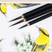 Clay Sculpture Stands, Wooden Metal, Multifunction, Display Combined ...