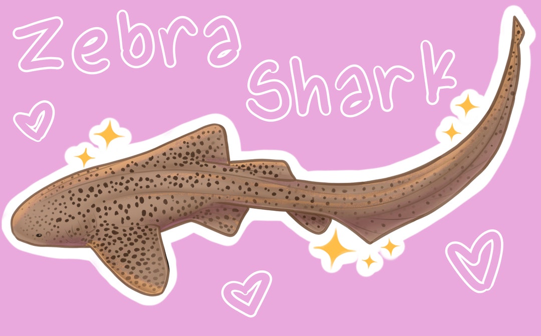Zebra Shark Sticker Cute Shark Kiss-cut Vinyl Decals - Etsy