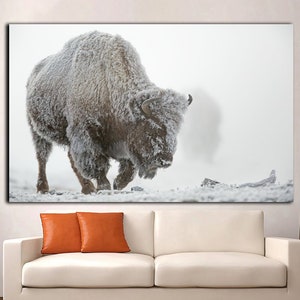 Buffalo Wall Art, Black Buffalo in Snow Original Pictures Art, Buffalo ...