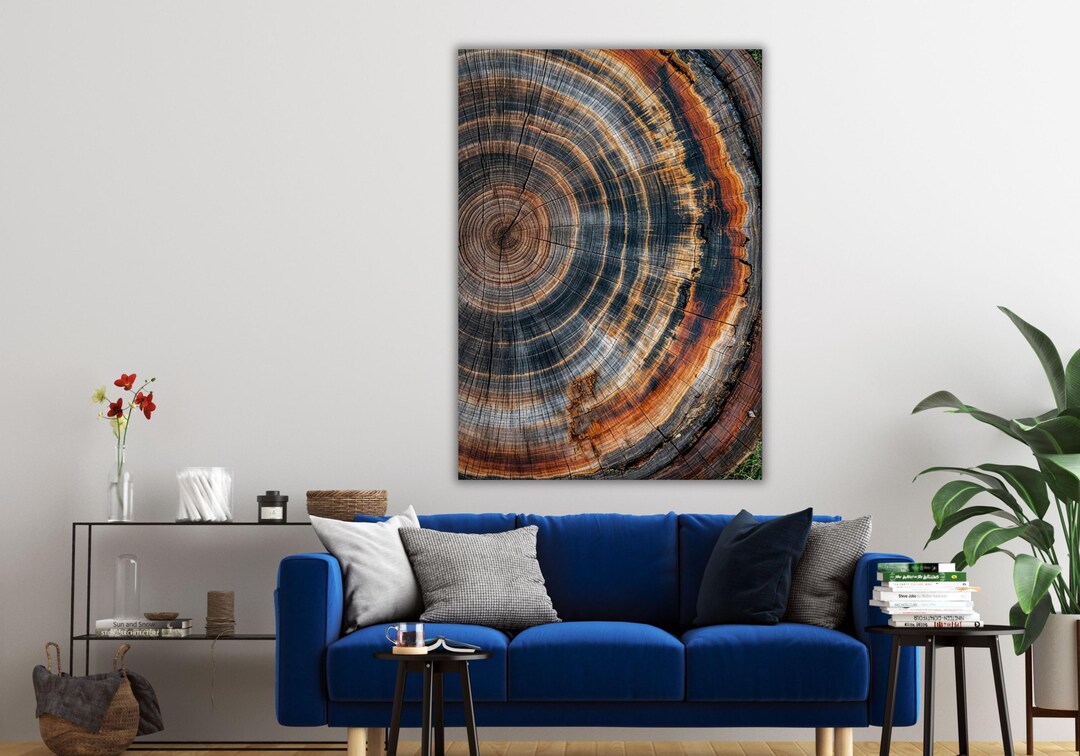 Tree Ring Canvas Wall Art, Colorful Tree Ring Wall Decor Art,minimalist ...