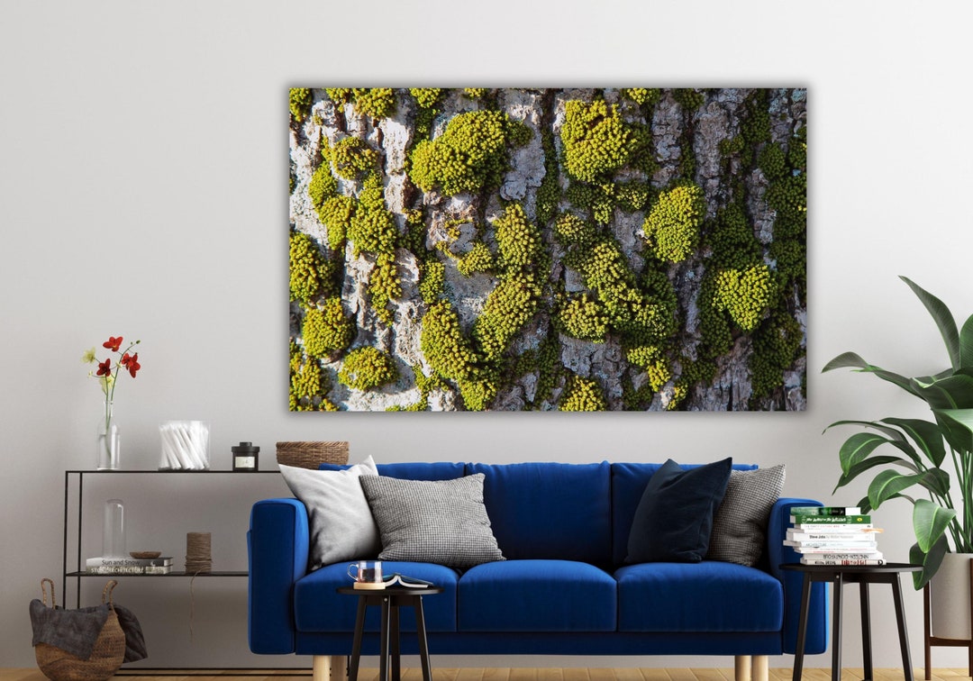 Moss Canvas Moss Prints Moss Wall Art Moss Décor Nature Decor Botanical ...