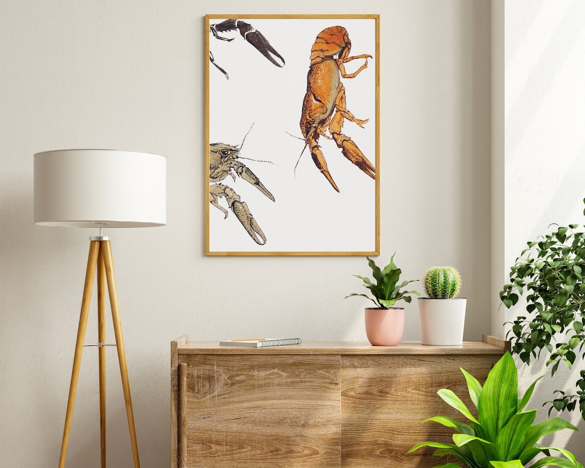 Crayfish PRINTABLE Wall Art. Unique Coastal Decor. Quirky and Fun ...