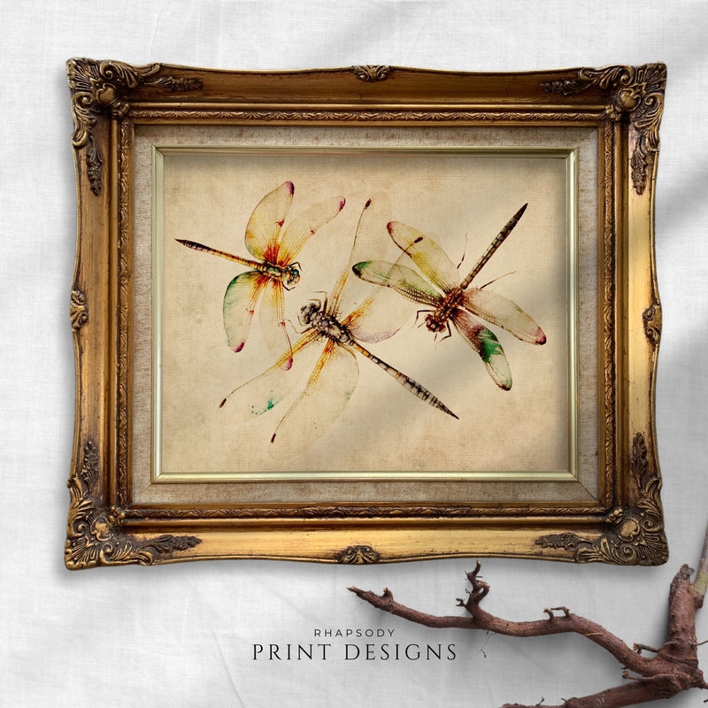 Dragonfly Art Print - Etsy